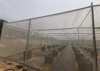 China Strong Frame Metal Frame Greenhouse For Potted Flower Cultivation for sale