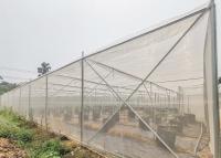 China No Welding Insect Proof Heavy Duty Greenhouse Metal Frame Greenhouse for sale