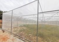 China No Welding Insect Proof Heavy Duty Greenhouse Metal Frame Greenhouse for sale