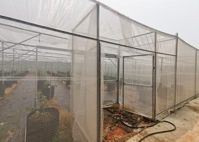 China Wind Resistant Insect Net House No Welding For Fruit Planting for sale