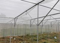 China Wind Resistant Insect Net House No Welding For Fruit Planting for sale
