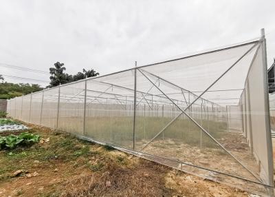 China Horticultural Insect Net House Steel Frame For Flower Cultivation for sale