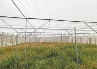 China HDPE Anti Insect Weather Proof Greenhouse 2-5 Meter Height Reducing Natural Disasters for sale