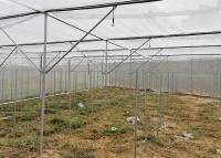 China HDPE Anti Insect Weather Proof Greenhouse 2-5 Meter Height Reducing Natural Disasters for sale