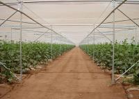 China Economical Anti Insect Net For Greenhouse Efficient For Vegetable Cultivation for sale