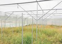 China HDPE Anti Insect Weather Proof Greenhouse 2-5 Meter Height Reducing Natural Disasters for sale