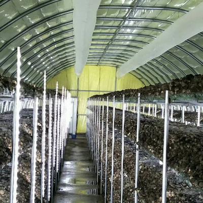 China 7-10 Meter Width Outdoor Mushroom Greenhouse With Insulating Blanket for sale