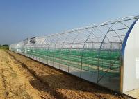 China Uv Waterproof Mushroom Growing Greenhouse Reinforced Plastic Sheeting Greenhouse for sale