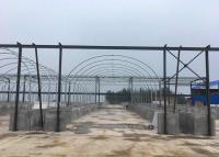 China Durable Cold Resistant Outdoor Mushroom Greenhouse With Excellent Insulation for sale