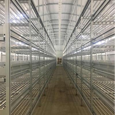 China Durable Outdoor Mushroom Greenhouse Customized Length For Efficient Space Utilization for sale
