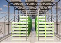 China Solar Powered Black Film Greenhouse Mushroom Farming Strong Plastic Greenhouse for sale