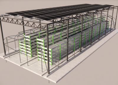 China Eco Friendly Outdoor Mushroom Greenhouse With Integrated Photovoltaic Roof System for sale