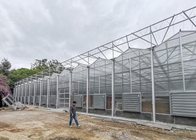 China Commercial Twin-Wall Polycarbonate Greenhouse：Heavy-Duty Shatterproof PC Panel Glass Alternative with UV Protection for sale