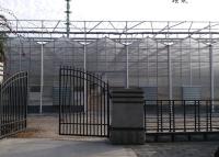 China Cold Resistant Double Layer Commercial Venlo Polycarbonate Sheet Geenhouse with misting system for sale