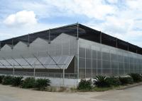 China Commercial Twin-Wall Polycarbonate Greenhouse：Heavy-Duty Shatterproof PC Panel Glass Alternative with UV Protection for sale