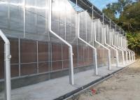 China Cold Resistant Double Layer Commercial Venlo Polycarbonate Sheet Geenhouse with misting system for sale