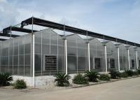 China Corrosion-Resistant Waterproof Polycarbonate Sheet Geenhouse With Automatic Ventilation System, Ideal For Vegetable Growing for sale