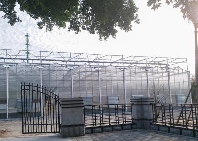 China Cold Resistant Double Layer Commercial Venlo Polycarbonate Sheet Geenhouse with misting system for sale