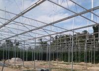 China Energy Efficient Multi Functional PC Greenhouse With Seeding Bench - Suitable For Ornamental Plants In Any Climate for sale