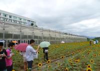 China Energy Efficient Multi Functional PC Greenhouse With Seeding Bench - Suitable For Ornamental Plants In Any Climate for sale