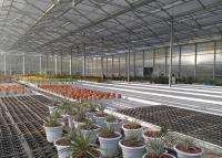 China Corrosion-Resistant Waterproof Polycarbonate Sheet Geenhouse With Automatic Ventilation System, Ideal For Vegetable Growing for sale