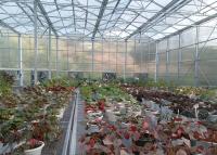 China High Transparency & Durable PC Material, Spacious Interior PC Greenhouse - Ideal For Year Round Plant Cultivation for sale