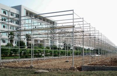 China UV Resistant, Temperature-Regulated PC Greenhouse With Large Ventilation Areas - Perfect For High Value Plants for sale