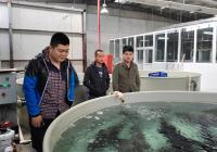 China Automated Feeding Eco Friendly Ras Recirculating Aquaculture System Ras Fish Farming System for sale