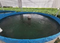 China Industrial Indoor Recirculating Aquaculture System 7kg/M³ Shrimp Density 30% Faster Growth for sale