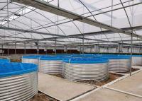 China Smart Fish Farming Ras System AI Monitoring For Catfish Trout Breeding Industrial Ras System for sale