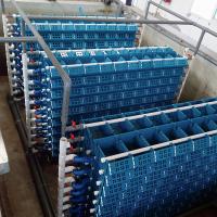 China Custom Indoor Ras Technology Aquaculture Water Recirculation System In Aquaculture for sale