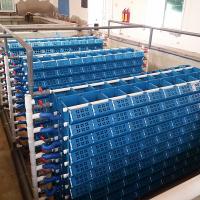 China Custom Indoor Ras Technology Aquaculture Water Recirculation System In Aquaculture for sale