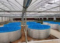 China Industrial Indoor Recirculating Aquaculture System 7kg/M³ Shrimp Density 30% Faster Growth for sale