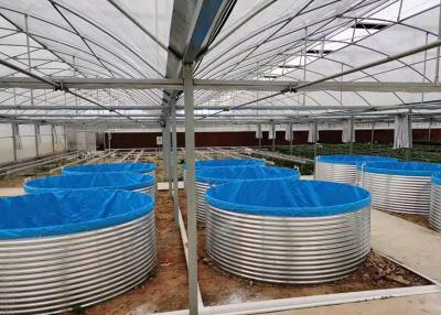 China Industrial Indoor Recirculating Aquaculture System 7kg/M³ Shrimp Density 30% Faster Growth for sale