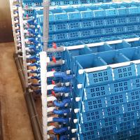 China Custom Indoor Ras Technology Aquaculture Water Recirculation System In Aquaculture for sale
