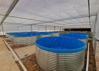China Industrial Indoor Recirculating Aquaculture System 7kg/M³ Shrimp Density 30% Faster Growth for sale