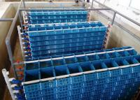 China Custom Indoor Ras Technology Aquaculture Water Recirculation System In Aquaculture for sale