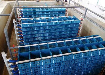 China Custom Indoor Ras Technology Aquaculture Water Recirculation System In Aquaculture for sale