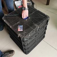 China Custom Indoor Ras Technology Aquaculture Water Recirculation System In Aquaculture for sale