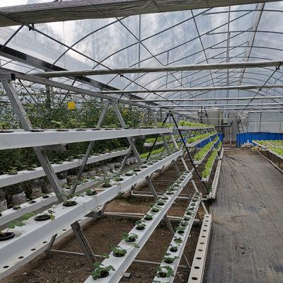 China Commercial Fish Hydroponics System Aquaponics Greenhouse Kit For Fish Vegetable for sale