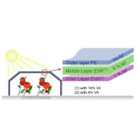 China 150/200 Micron PE Plastic Greenhouse Cover | UV-Resistant Agricultural Poly Film for sale