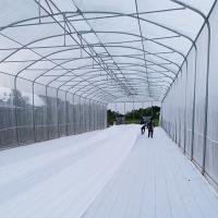 China Durable Poly Film Covering Single Span Greenhouse With Umbrella Style Roof Ventilation for sale
