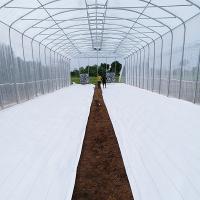 China Natural Cooling Plastic Green House Made By Galvanized Pipes No Welding Design for sale