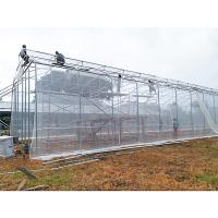 China Natural Cooling Plastic Green House Made By Galvanized Pipes No Welding Design for sale