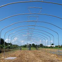 China Wind Resistant No Welding Single Span Greenhouse With Umbrella Shape Roof 60mm Columns for sale