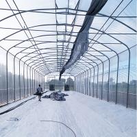 China High Roof Single Span Greenhouse With Good Natural Ventilation Insect Proof Netting for sale