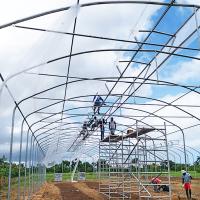 China High Roof Single Span Greenhouse With Good Natural Ventilation Insect Proof Netting for sale