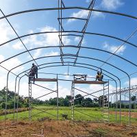 China Wind Resistant No Welding Single Span Greenhouse With Umbrella Shape Roof 60mm Columns for sale