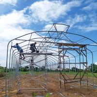 China High Roof Single Span Greenhouse With Good Natural Ventilation Insect Proof Netting for sale