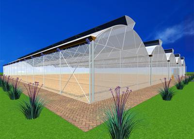 China Transparent Reliable Clear Plastic Green House Poly Greenhouse Kits for sale